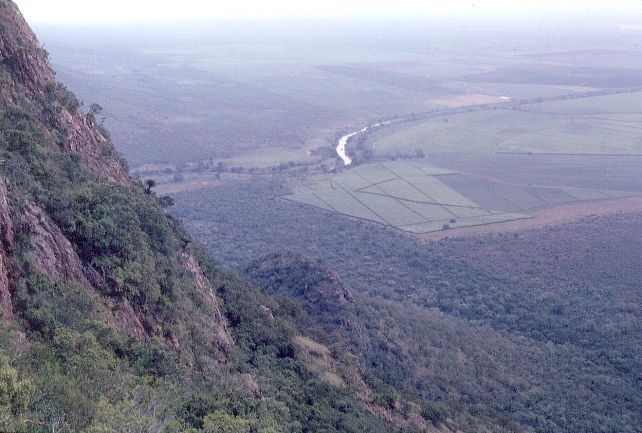 Stone Age humans built complex grass beds at Border Cave 200,000 years ...