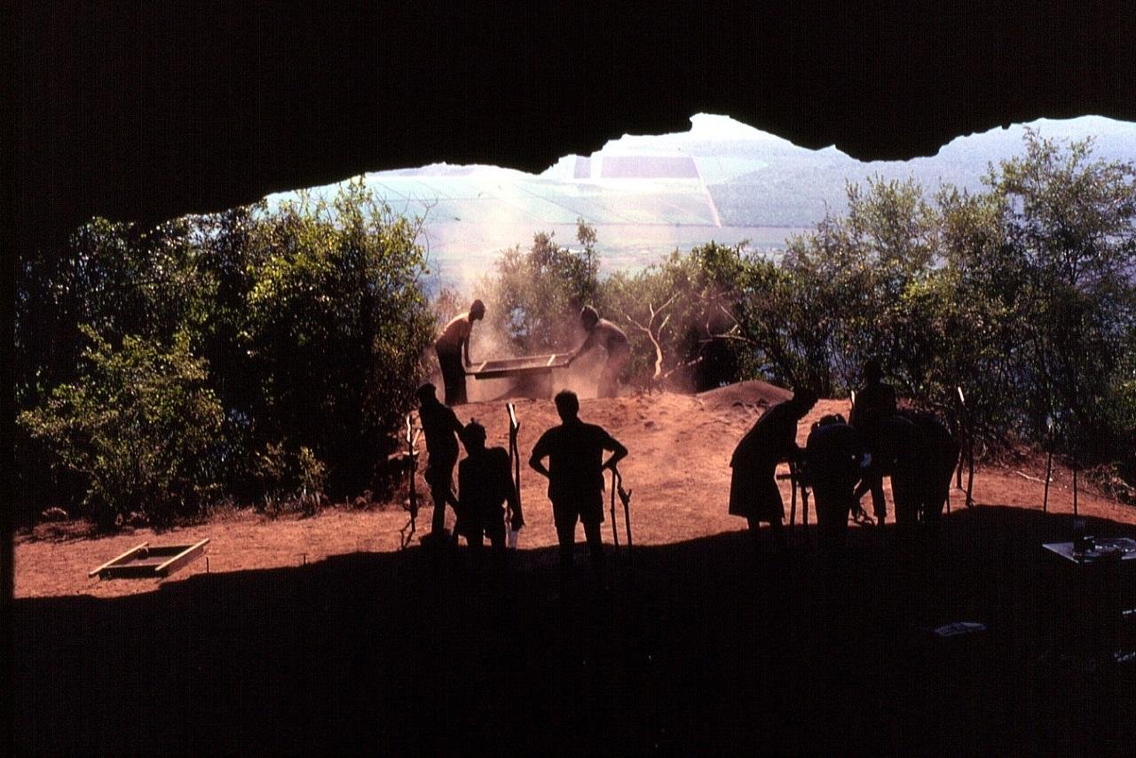 Stone Age humans built complex grass beds at Border Cave 200,000 years ...