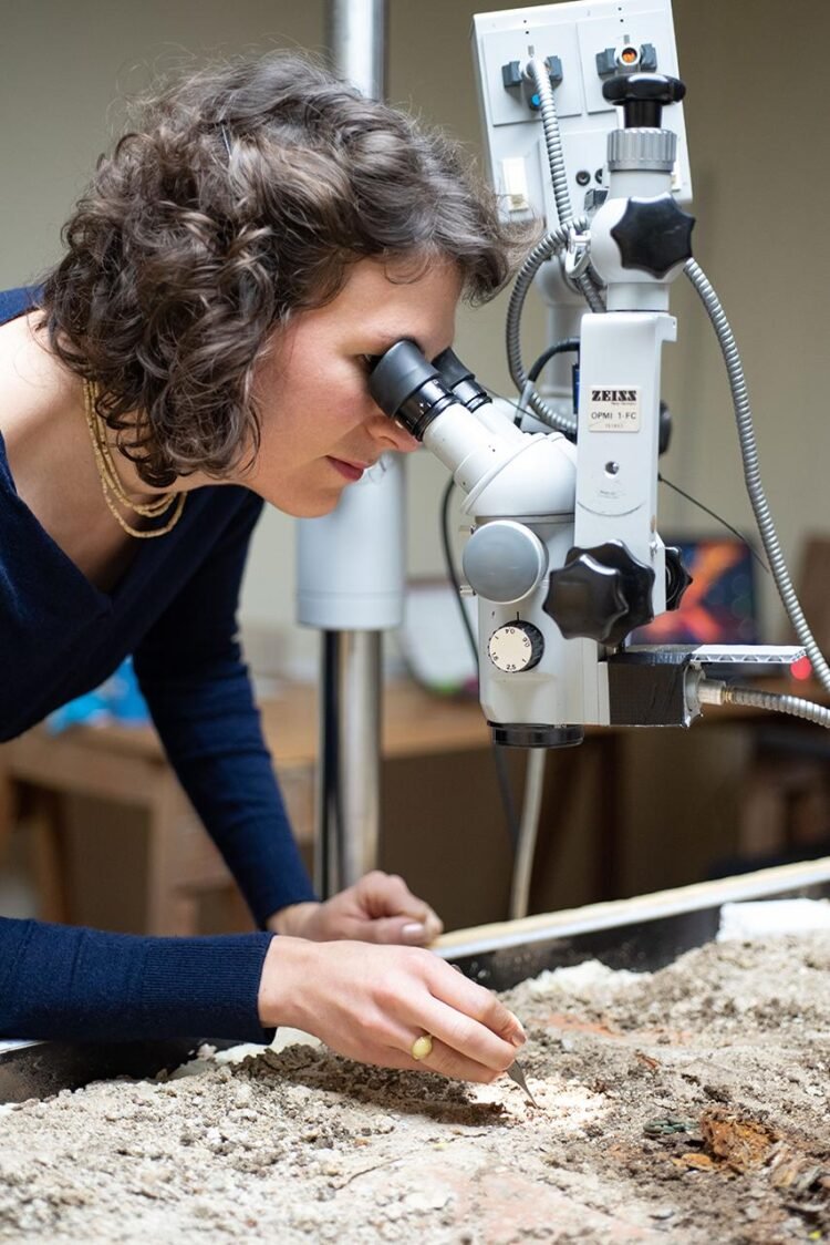 Life and death of the 'Ice Prince of Mattsies' revealed: medieval child ...