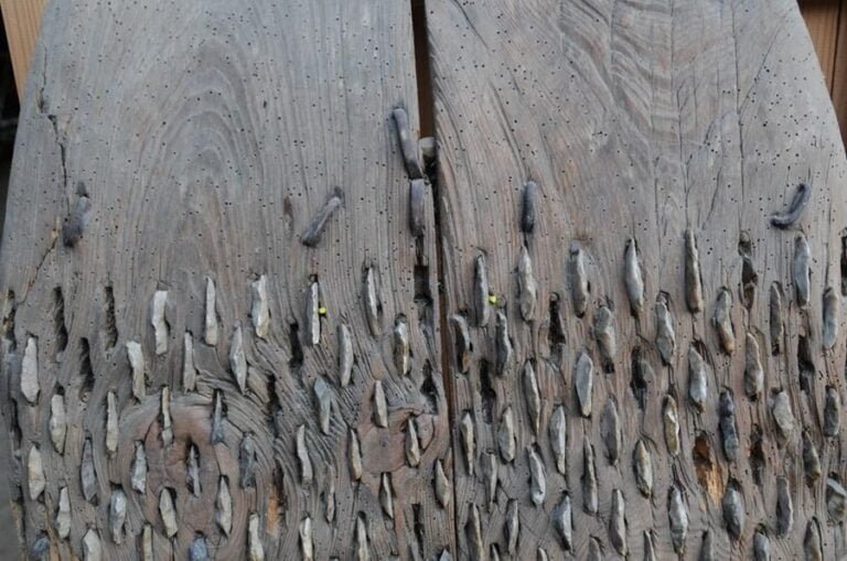 Archaeologists uncover evidence of threshing sledges in Neolithic ...