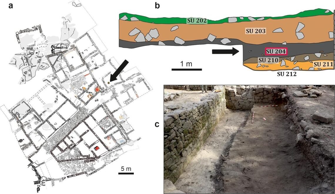 Rare trilobite fossil amulet unearthed at Roman site in Spain reveals ...
