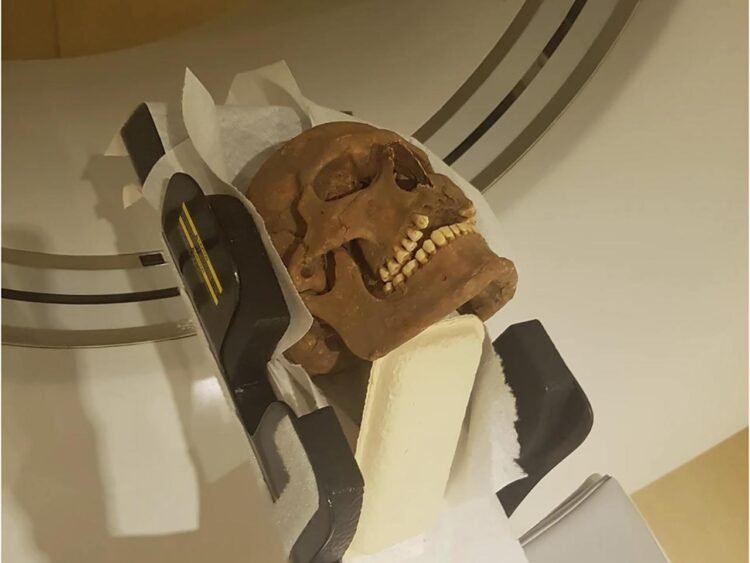 Mass grave of plague victims discovered in Nuremberg may be largest ...