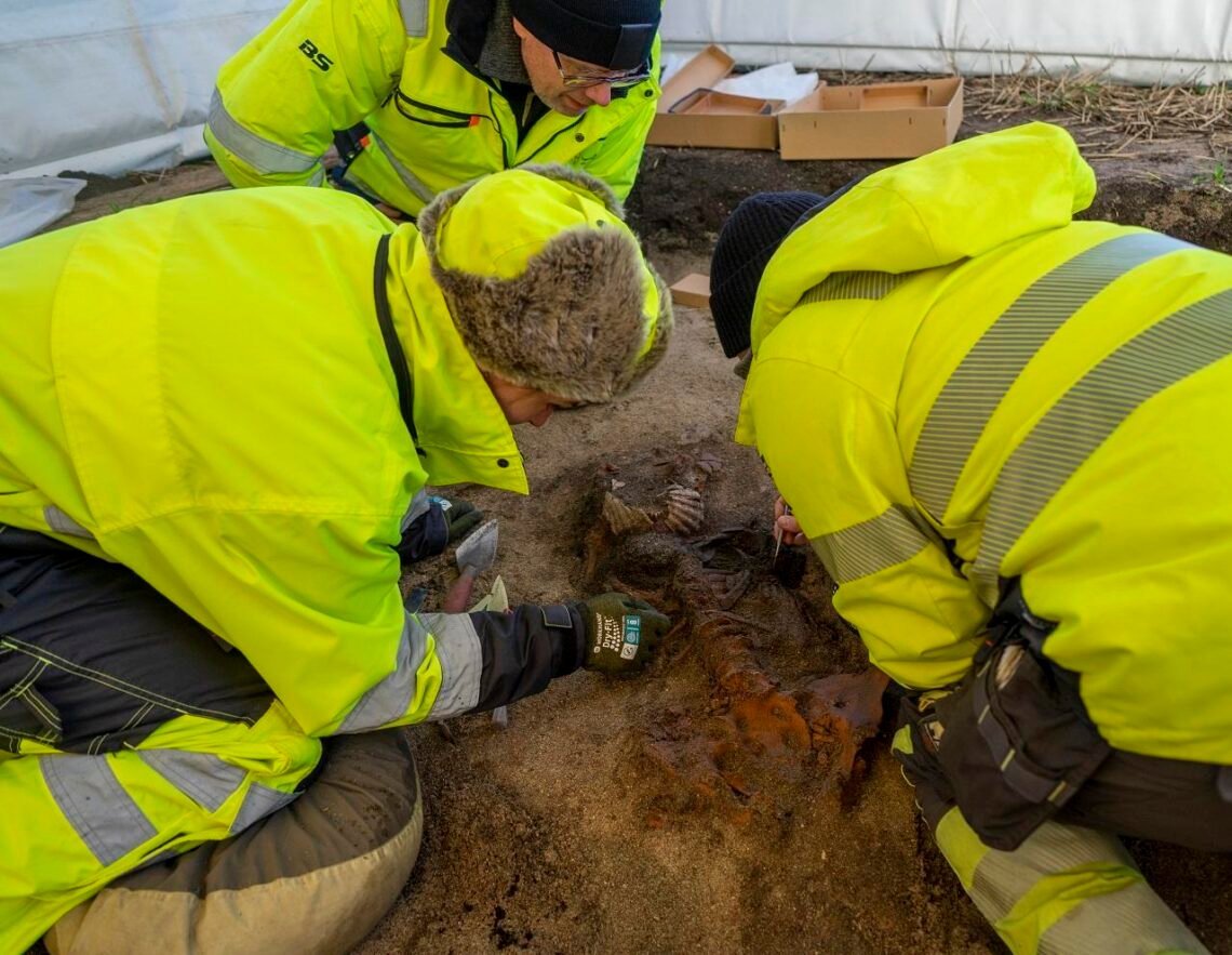 Unusual Viking woman’s burial in Norway reveals a mysterious ritual ...