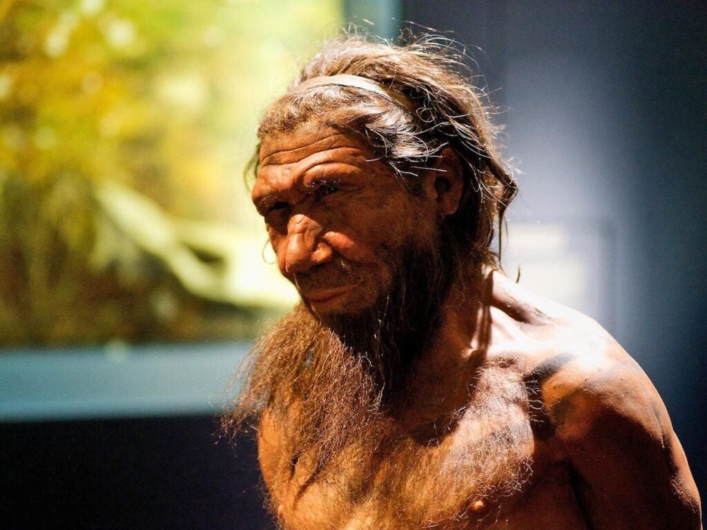 New Neanderthal remains unearthed in France reveal previously ...