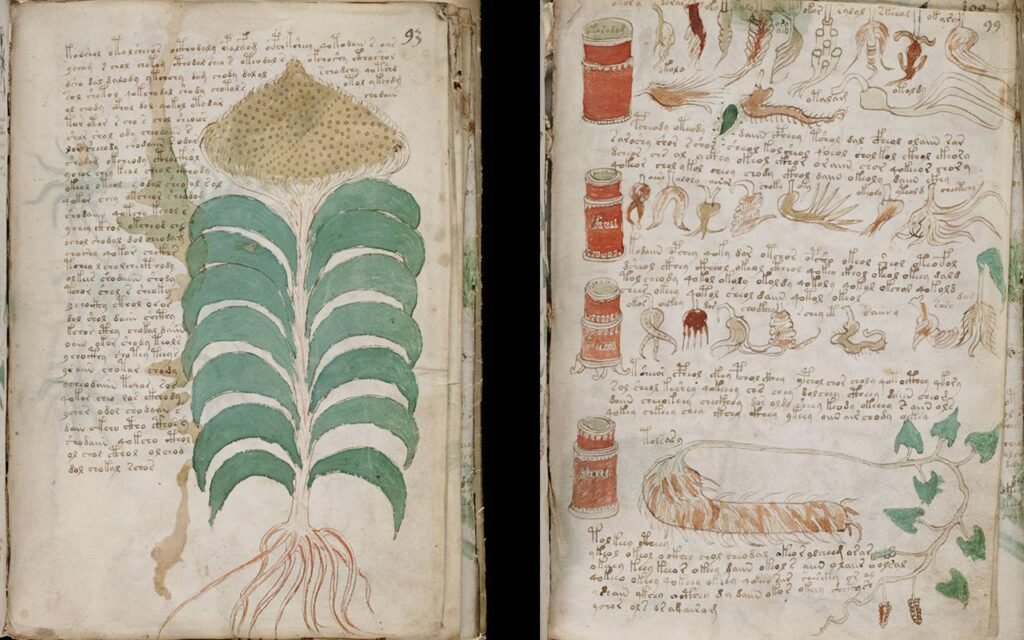 A new study suggests the mysterious Voynich Manuscript may be a ...