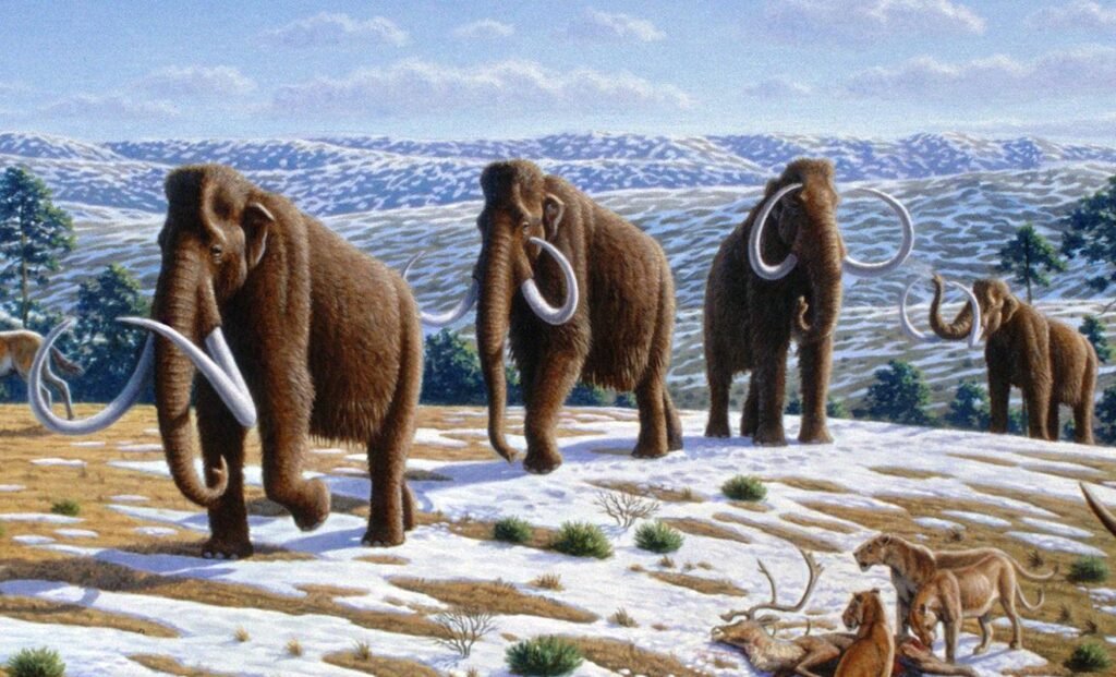 25,000-year-old mammoth bone site discovered in Lower Austria ...