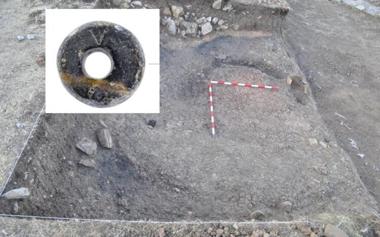 Rare Dionysian fresco unearthed in Pompeii depicts rituals and mystery ...